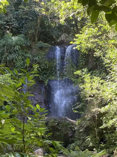 Best Trails, Walks, and Paths in Sainte-Rose | AllTrails