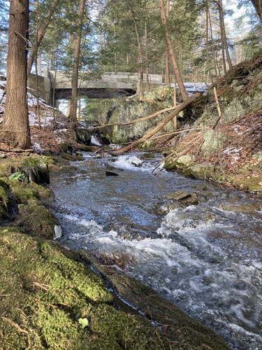 Best Hikes and Trails in Muckross State Park | AllTrails