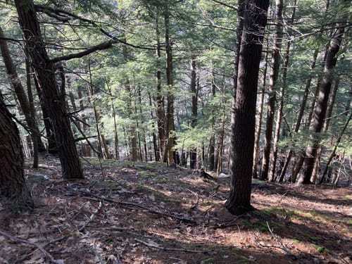 Best Hikes and Trails in Muckross State Park | AllTrails