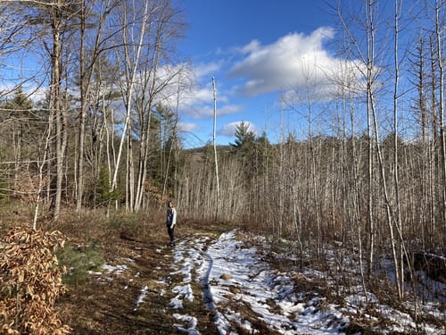 Best Hikes and Trails in Muckross State Park | AllTrails