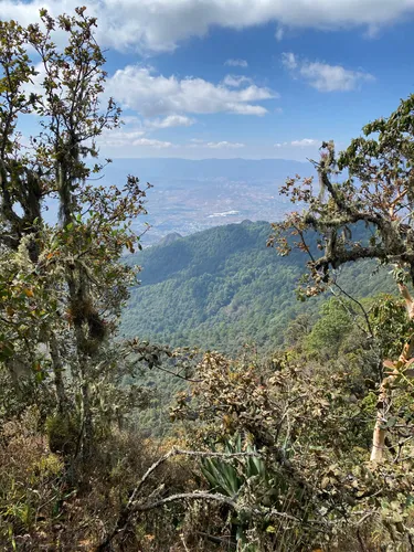 Best Hikes and Trails in Benito Juárez National Park | AllTrails
