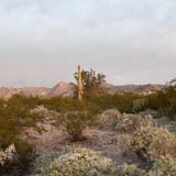 Maricopa Trail: Verrado, Arizona - 170 Reviews, Map | AllTrails