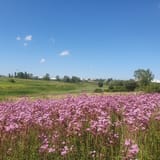 Modderfontein Dam Trail, Gauteng, South Africa - 372 Reviews, Map ...