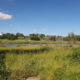 Modderfontein Dam Trail, Gauteng, South Africa - 372 Reviews, Map ...