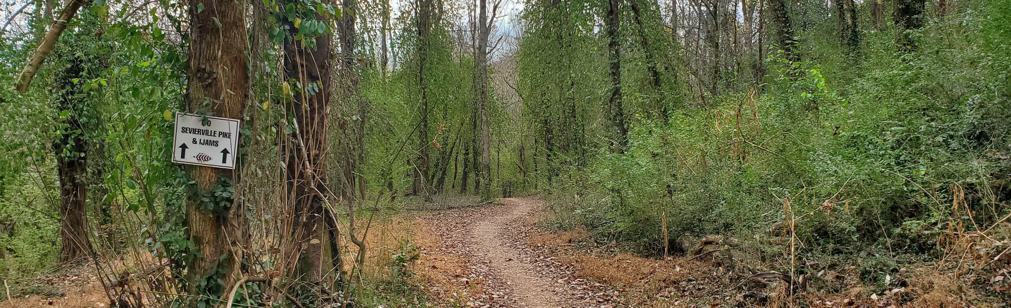 Victor Ashe Loop, Tennessee - 41 Reviews, Map | AllTrails