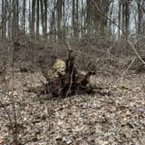 Bonner Park Loop, Pennsylvania - 236 Reviews, Map | AllTrails