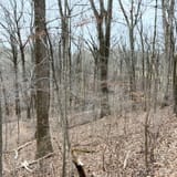 Bonner Park Loop, Pennsylvania - 305 Reviews, Map | AllTrails