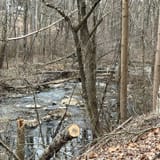 Bonner Park Loop, Pennsylvania - 245 Reviews, Map | AllTrails