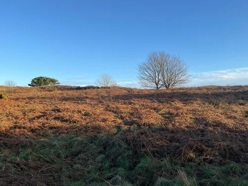 2023 Best Beach Trails in Raven Point Nature Reserve | AllTrails