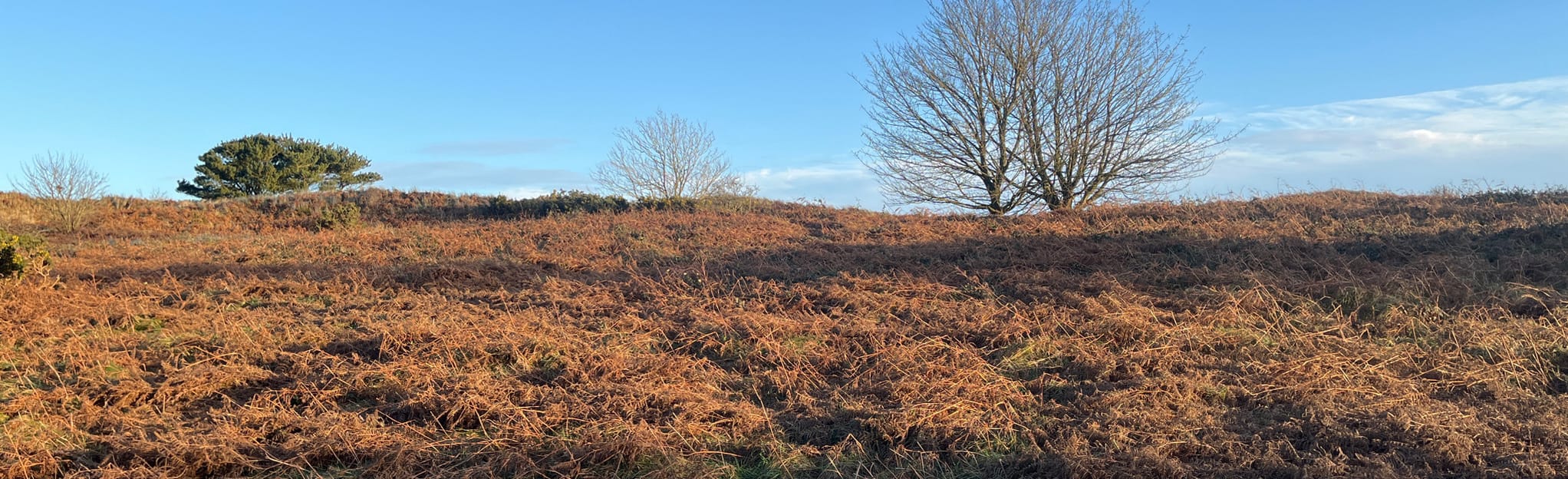 Castlebridge and Blackwater Loop, County Wexford, Ireland - 2 Reviews ...