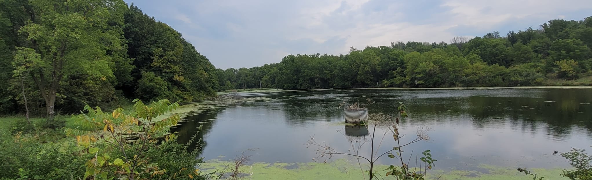 Morrison Rockwood Equestrian Trail Loop: 32 Reviews, Map - Illinois ...