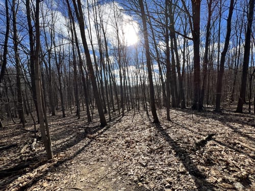 Best Hikes and Trails in Prairie Wolf Park | AllTrails