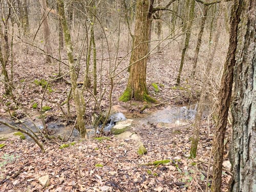 Best Hikes and Trails in Chapman Mountain Nature Preserve | AllTrails