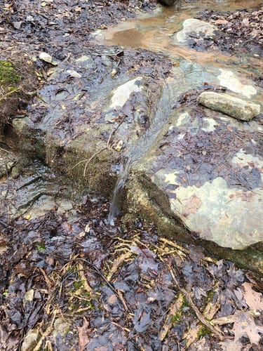 Best Hikes and Trails in Chapman Mountain Nature Preserve | AllTrails
