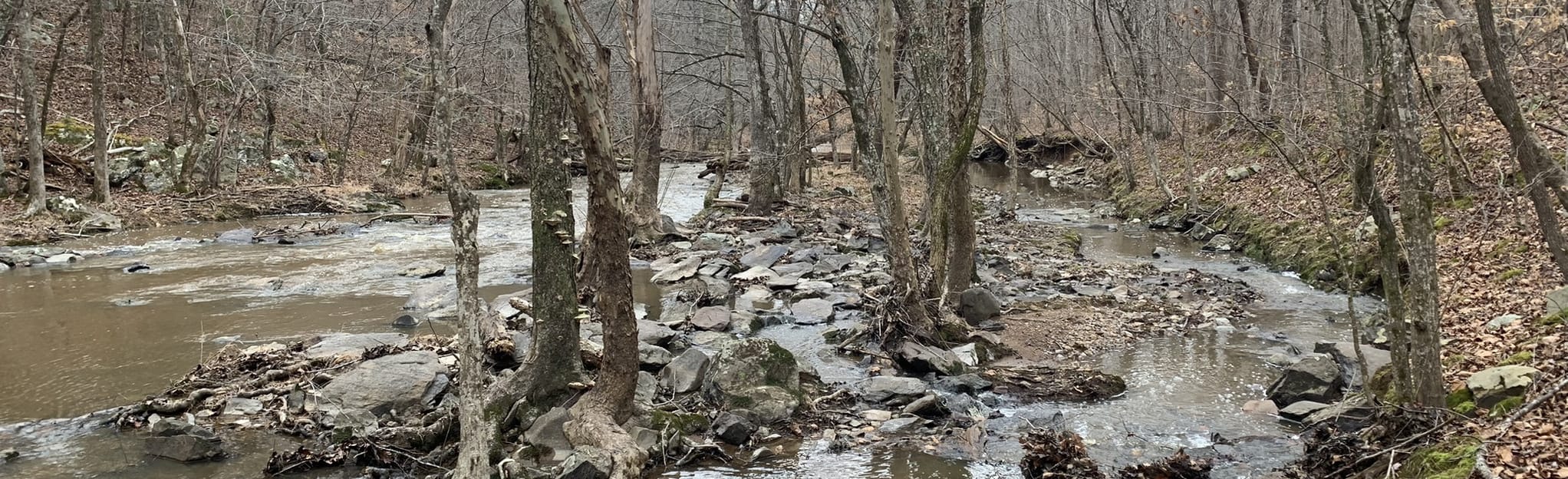 Ridge Trail to North River Trail: 303 Reviews, Map - North Carolina ...