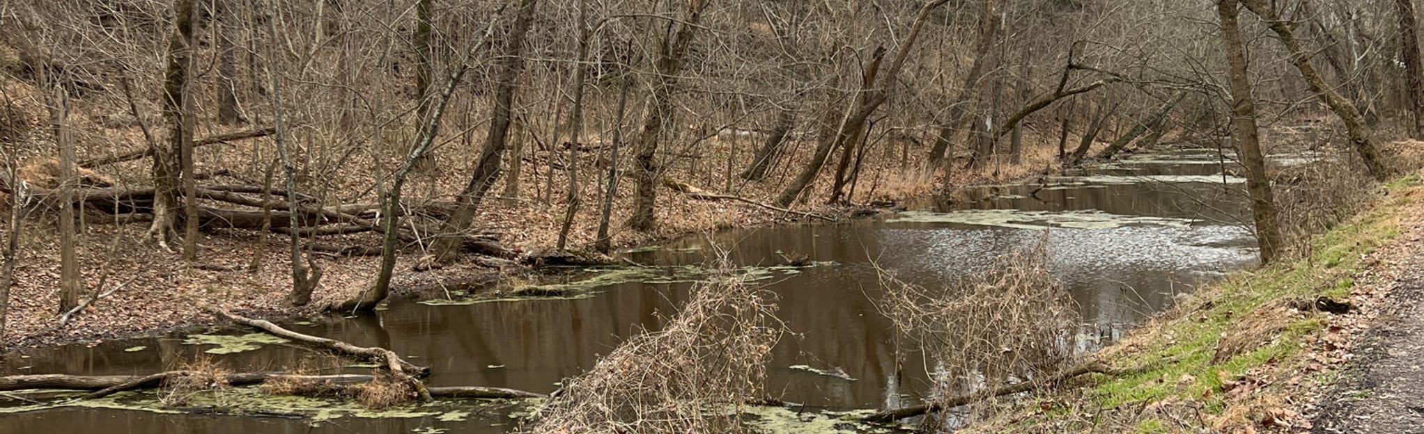 C&O Canal Trail: Edwards Ferry to Sycamore Landing: 84 Reviews, Map ...