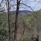 Lumber Ridge Trail, Tennessee - 211 Reviews, Map | AllTrails