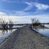 Wiley Slough Trail, Washington - 240 Reviews, Map | AllTrails