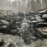 Terwilliger (Cougar) Hot Springs, Oregon - 267 Reviews, Map | AllTrails