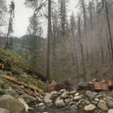 Terwilliger (Cougar) Hot Springs, Oregon - 267 Reviews, Map | AllTrails