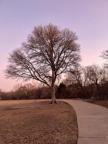 Best Hikes and Trails in Limestone Quarry Park | AllTrails