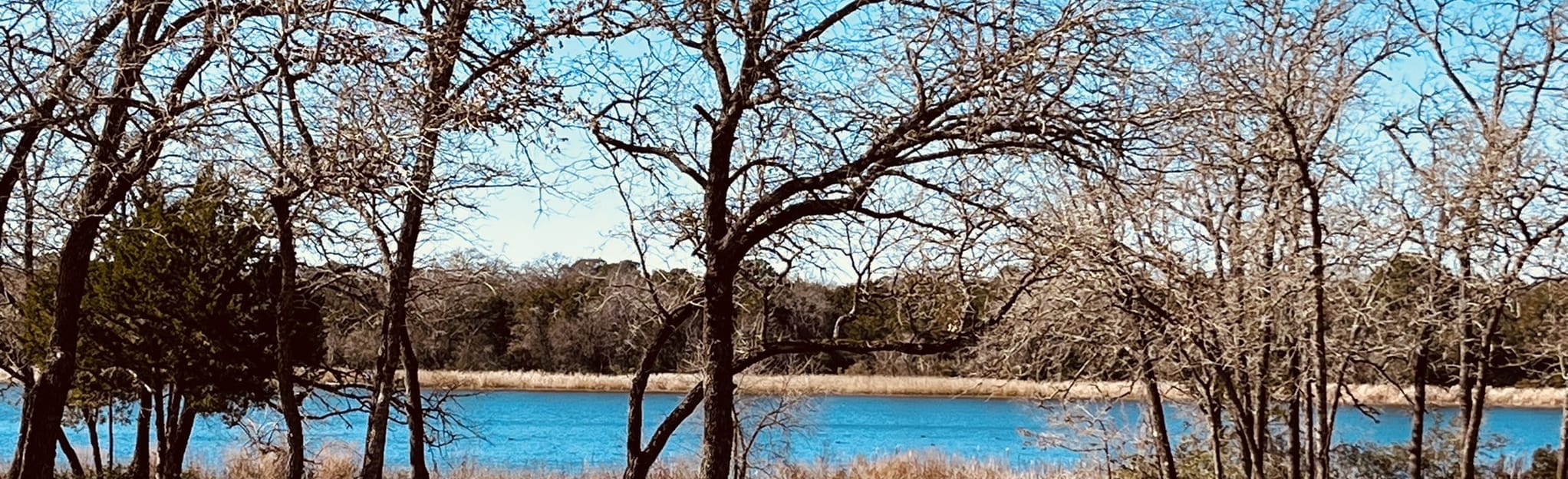 Gideon Loop via Swift Trail: 41 Reviews, Map - Texas | AllTrails