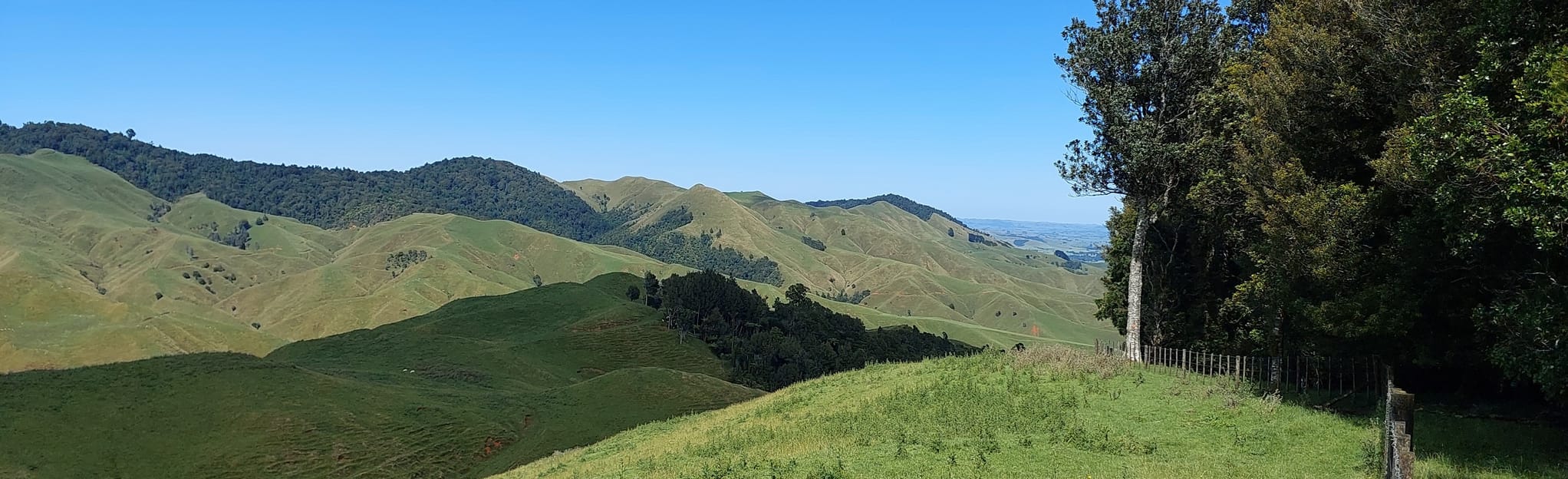 Mount Pukeitionga from Mangapiko Valley Road End, Waikato, New Zealand ...