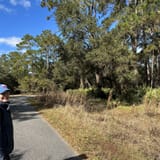 Big Talbot Island Timucuan Trail, Florida - 202 Reviews, Map | AllTrails