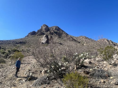 Best Hikes and Trails in Doña Ana Mountains ACEC | AllTrails