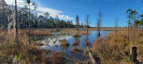 Best Hikes and Trails in Jay B. Starkey Wilderness Park | AllTrails