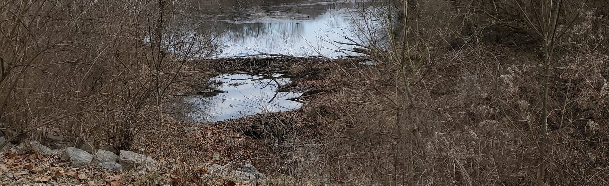 Hamilton-Fairfield Bike Trail, Ohio - 184 Reviews, Map | AllTrails