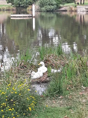 Best Hikes and Trails in Mathison Park | AllTrails