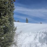 Shrine Pass Road, Colorado - 139 Reviews, Map | AllTrails