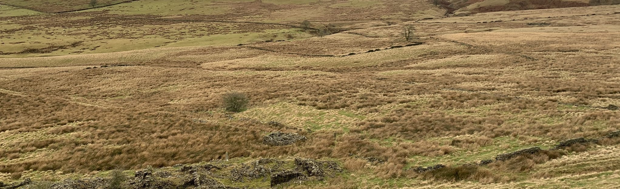 Whittle Hill and Knowl Hill Circular - Greater Manchester, England ...