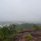 Mt Louisa Walking Track, Queensland, Australia - 231 Reviews, Map ...