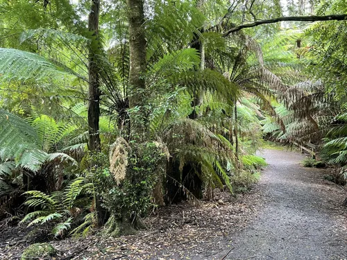 10 Best Trails and Hikes in Victoria | AllTrails