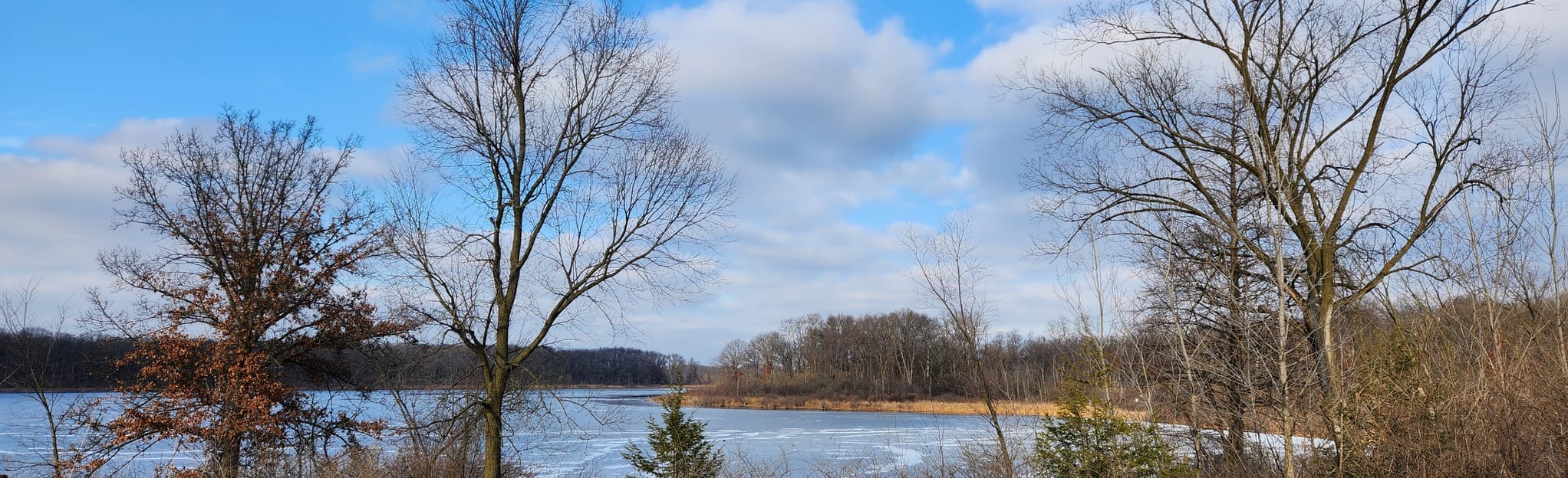 Palos Trail System: Black Trail: 796 Reviews, Map - Illinois | AllTrails