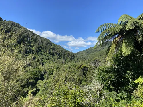 10 Best Walking Trails in Wainuiomata | AllTrails