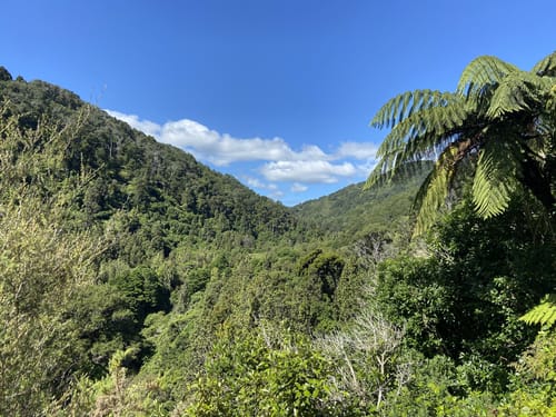 2023 Best Camping Trails in Remutaka Forest Park | AllTrails