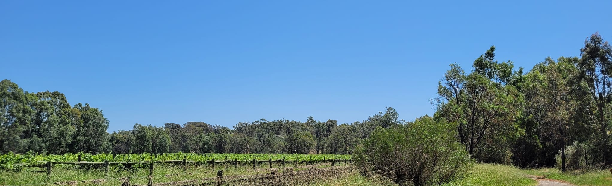 Seymour Multipurpose Trail, Victoria, Australia - 27 Reviews, Map ...