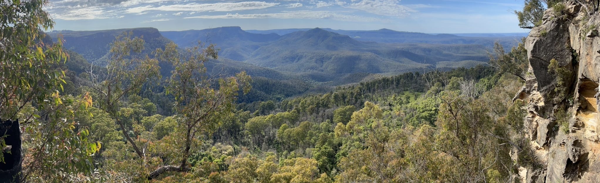 Wombat Hill Fire Trail: 27 foto's - New South Wales, Australia | AllTrails