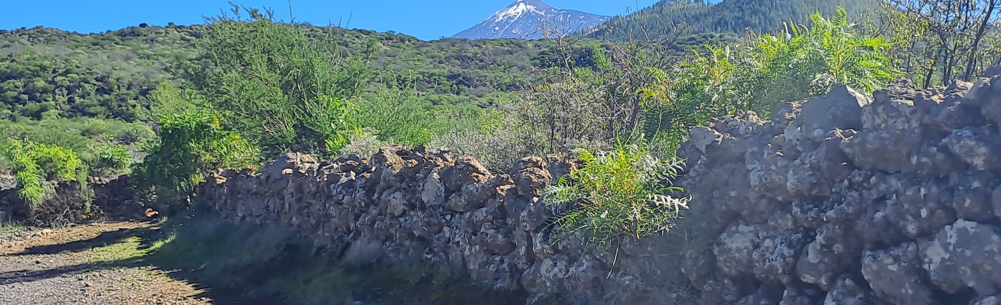 El Calvario de los Baldíos - Montaña de los Tomillos - Tenerife, Spain ...
