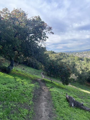 Best Hikes and Trails in Ernest E Debs Regional Park | AllTrails