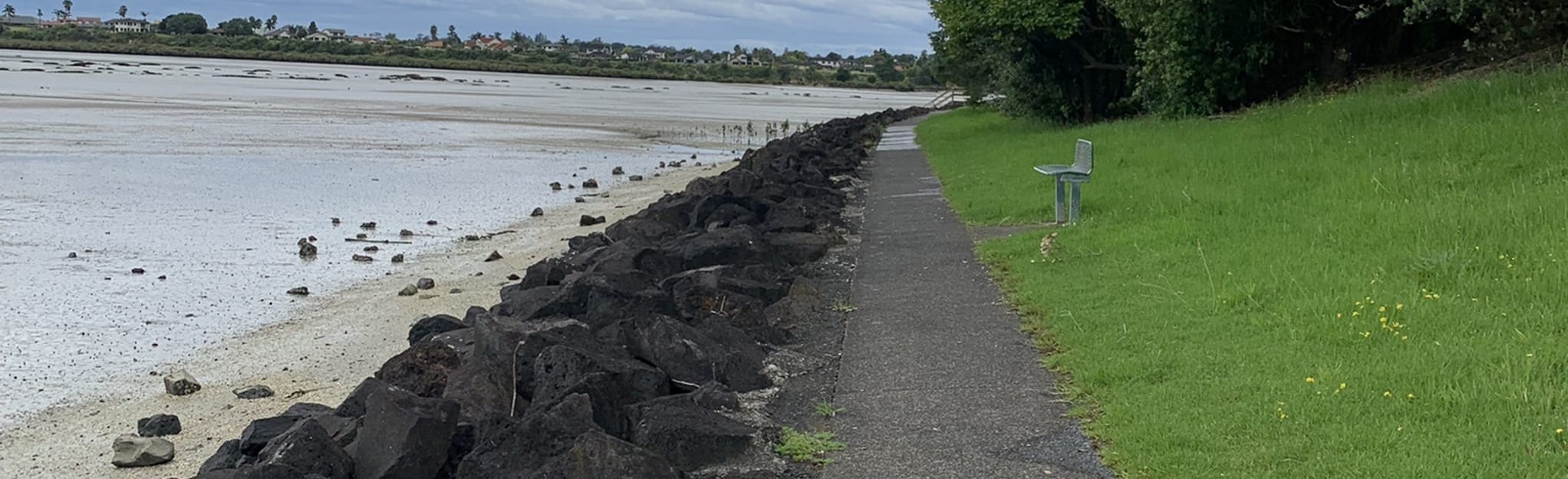 Conifer Grove Loop: 11 Reviews, Map - Auckland, New Zealand | AllTrails