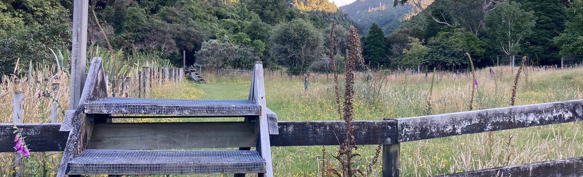 Kakakapanui Hut Track, Wellington, New Zealand - 5 Reviews, Map | AllTrails