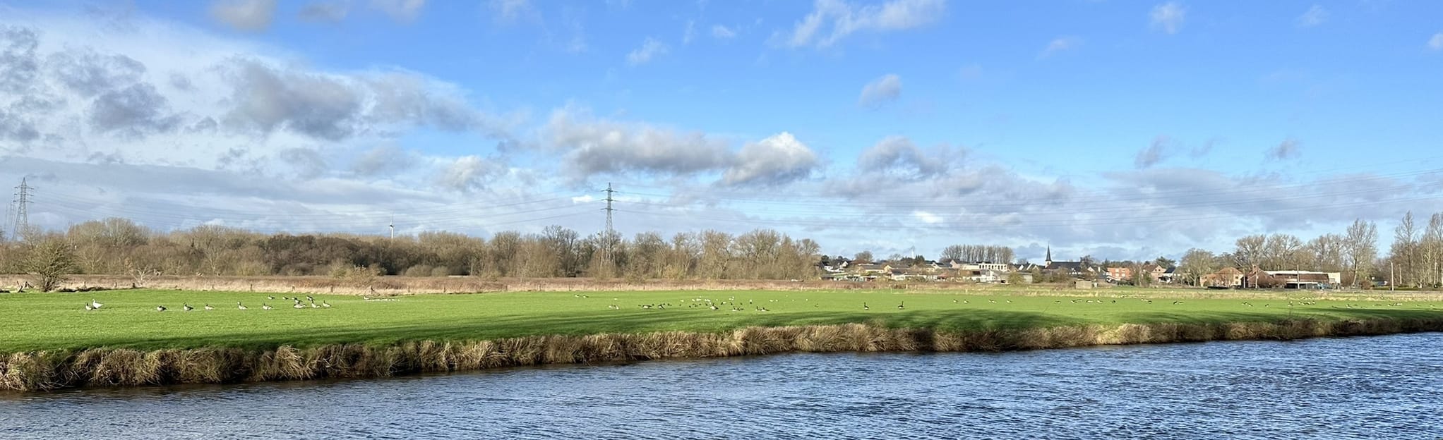 Thick van Pamel, Flemish Brabant, Belgium - 9 Reviews, Map | AllTrails