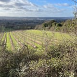 Boxley and the North Downs Circular, Kent, England - 410 Reviews, Map ...