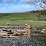 Boxley and the North Downs Circular, Kent, England - 410 Reviews, Map ...