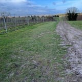 Boxley and the North Downs Circular, Kent, England - 410 Reviews, Map ...