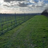 Boxley and the North Downs Circular, Kent, England - 410 Reviews, Map ...